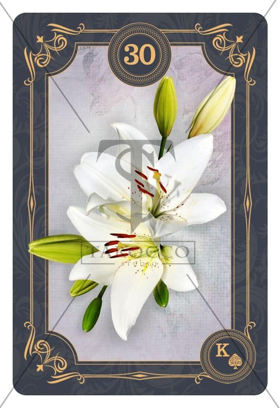 Gallery Oracle "Mystery Secrets"