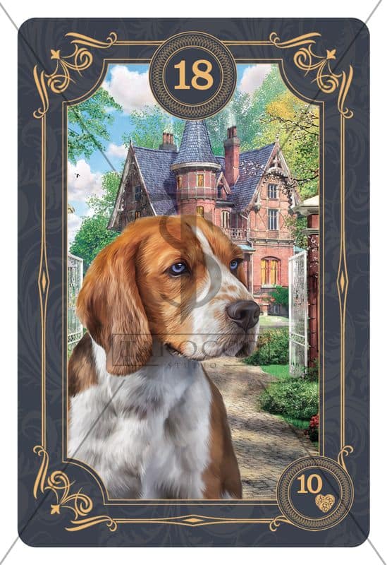 Gallery Oracle "Mystery Secrets"